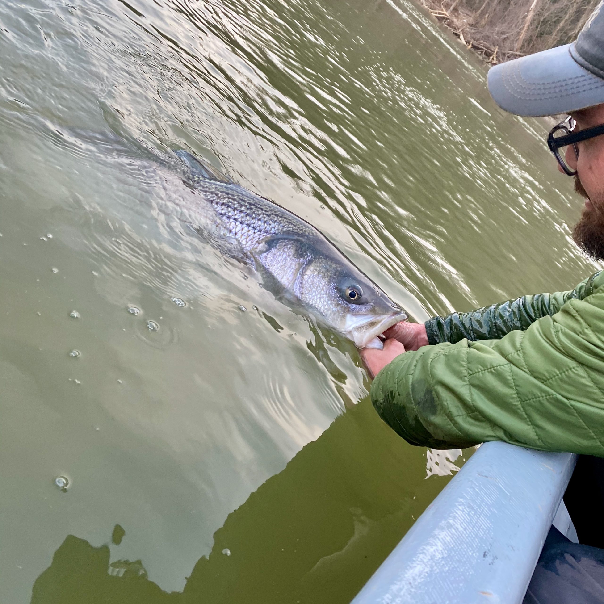 March 15, 2021 - Boating in DC Kayaking, Paddling, Passes, Tours, Classes